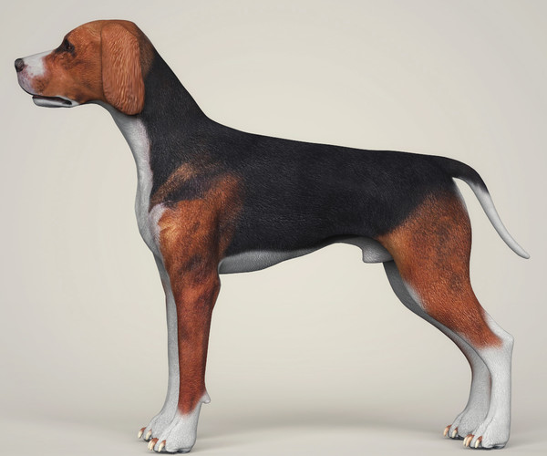 ArtStation - Realistic 3D Dog Collection | Resources