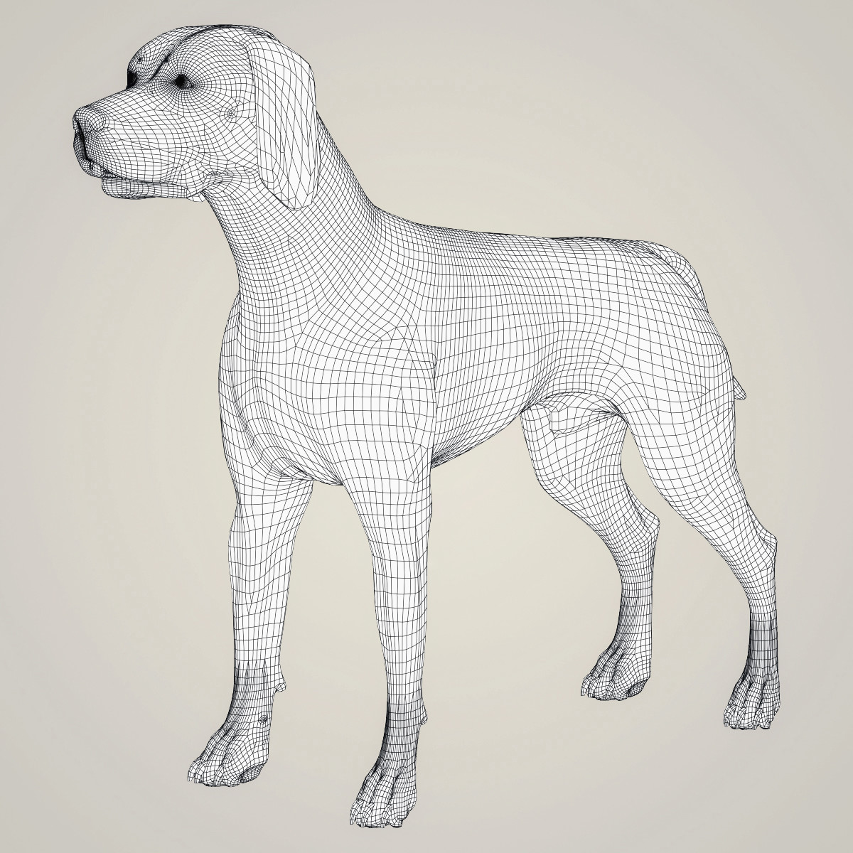 ArtStation - Realistic 3D Dog Collection | Resources