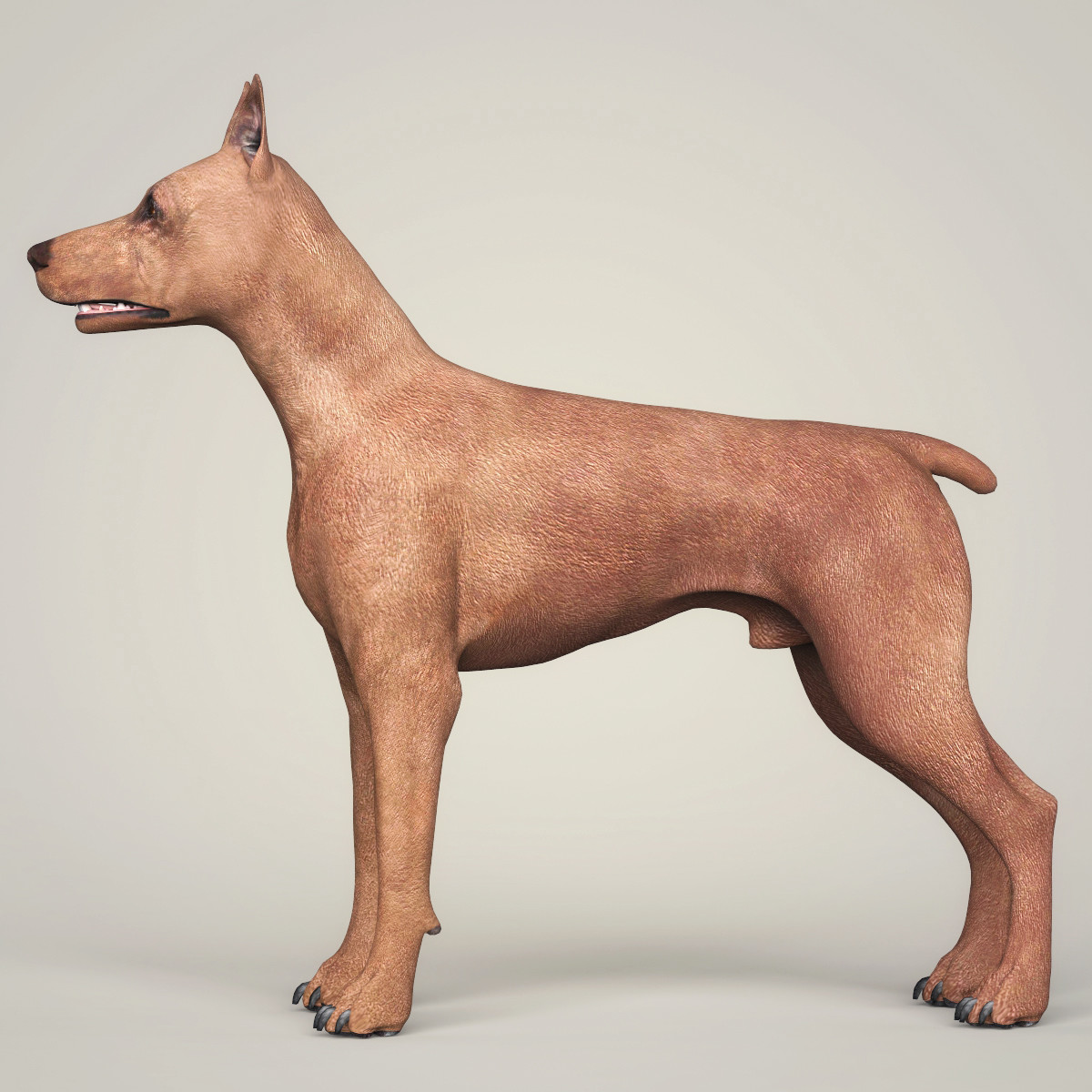 ArtStation - Realistic 3D Dog Collection | Resources