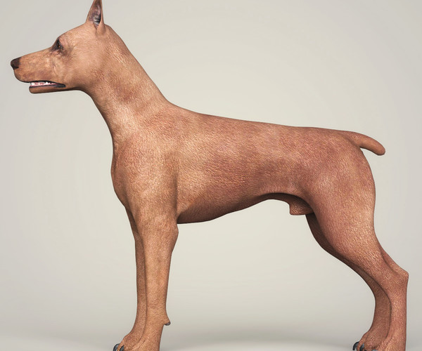 ArtStation - Realistic 3D Dog Collection | Resources