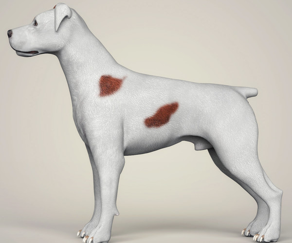ArtStation - Realistic 3D Dog Collection | Resources