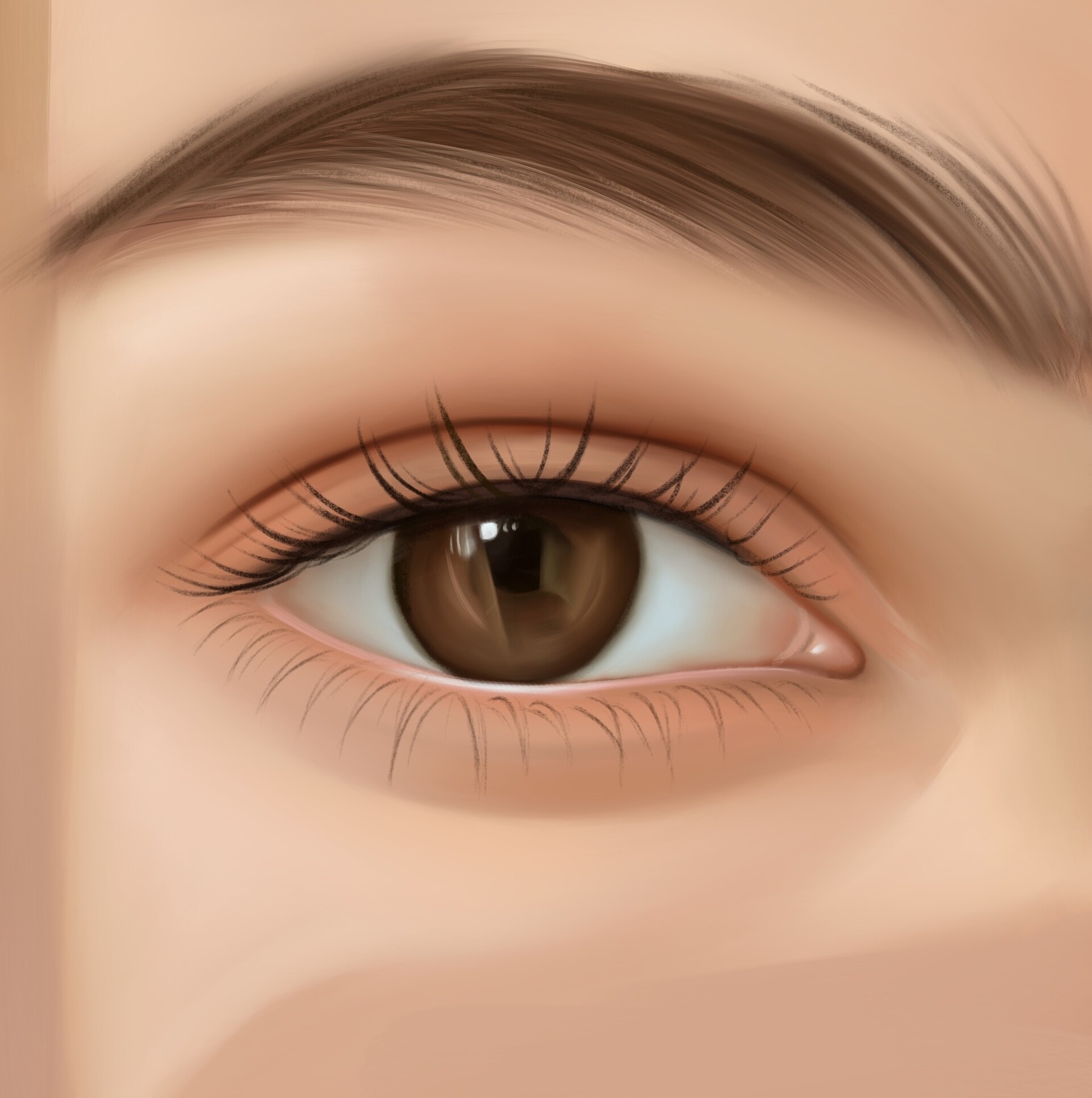 ArtStation - color study in procreate | Artworks