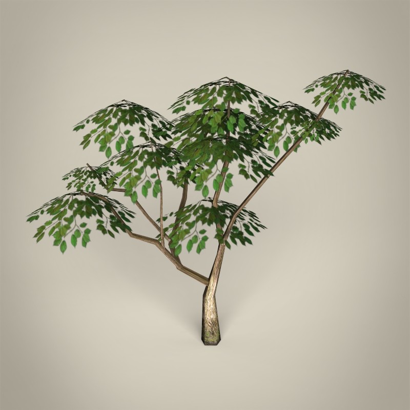 ArtStation - 3D Game Ready Tree Collection | Resources