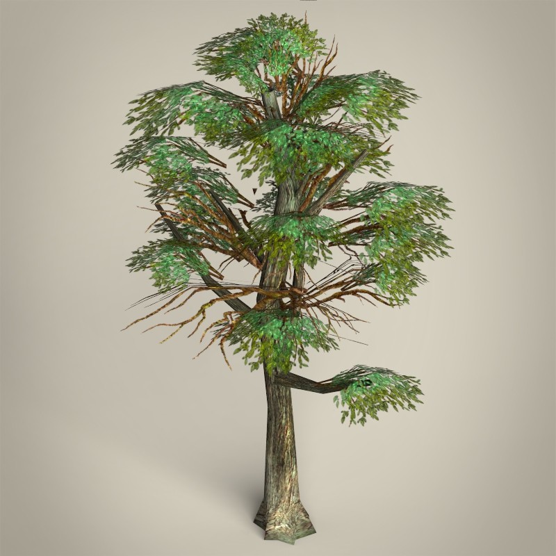 ArtStation - 3D Game Ready Tree Collection | Resources