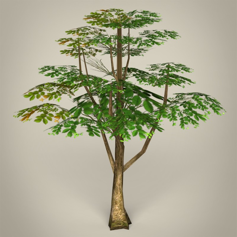 ArtStation - 3D Game Ready Tree Collection | Resources