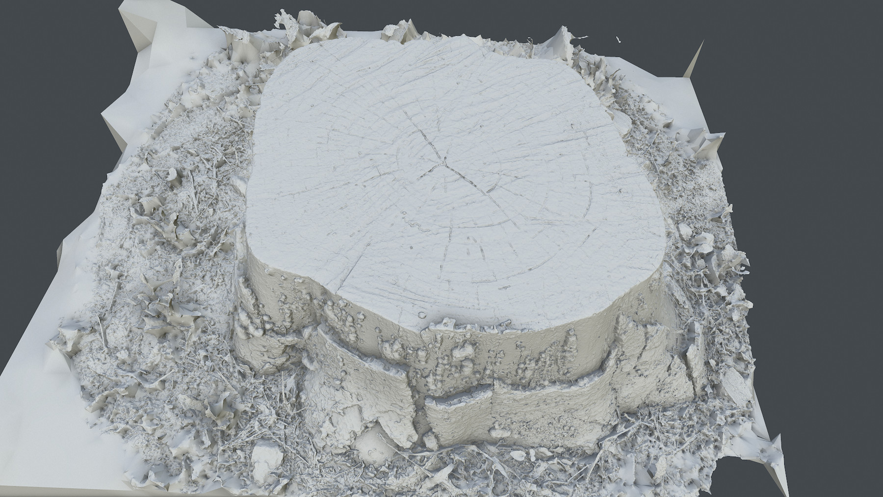 ArtStation - Photoscan_Broken Tree_0004_only HighPoly Mesh (16K Texture ...