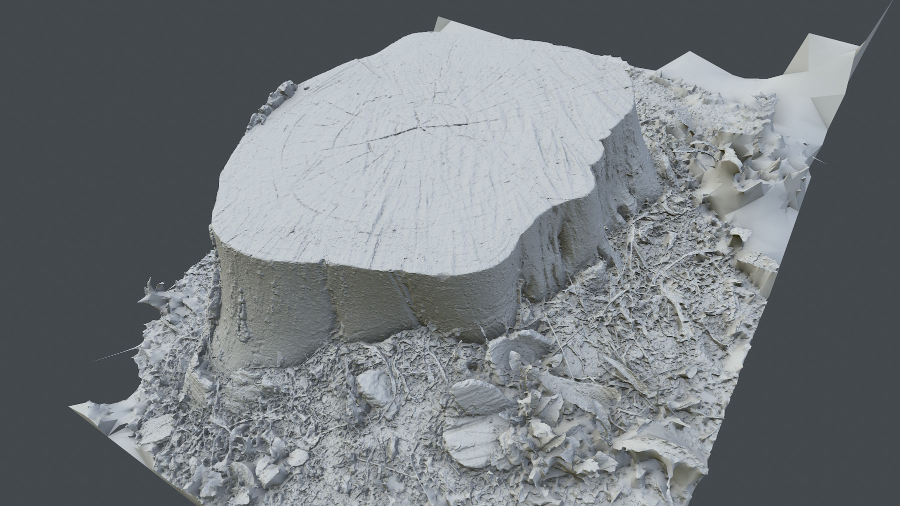 ArtStation - Photoscan_Broken Tree_0004_only HighPoly Mesh (16K Texture ...