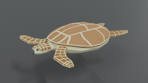ArtStation - Low Poly Cartoon Loggerhead Sea Turtle | Game Assets