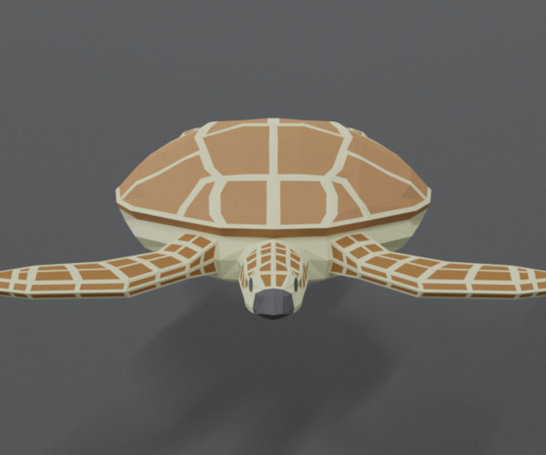 ArtStation - Low Poly Cartoon Loggerhead Sea Turtle | Game Assets
