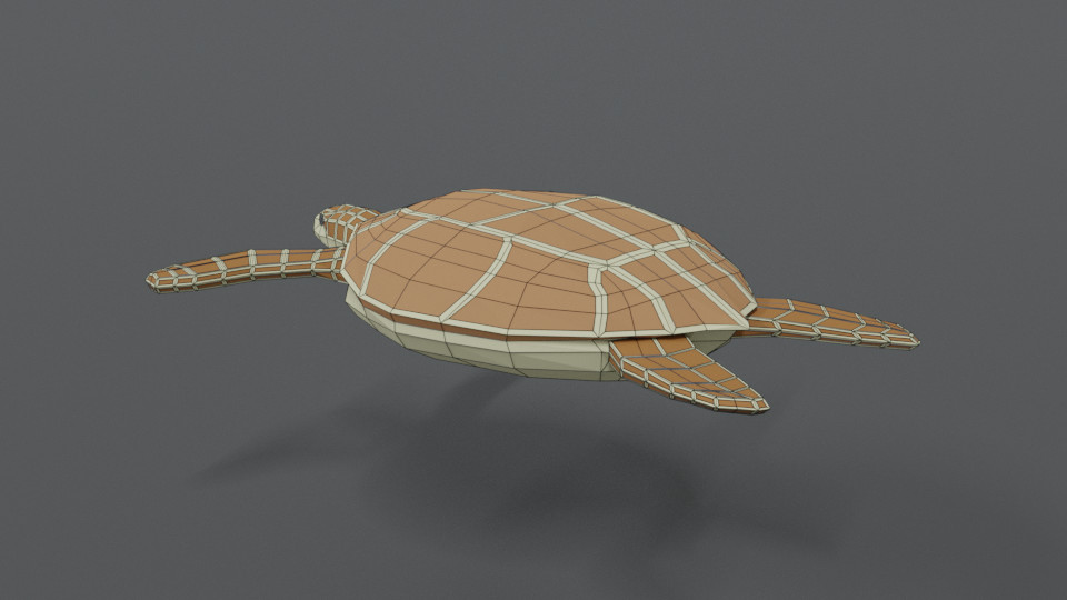 ArtStation - Low Poly Cartoon Loggerhead Sea Turtle | Game Assets