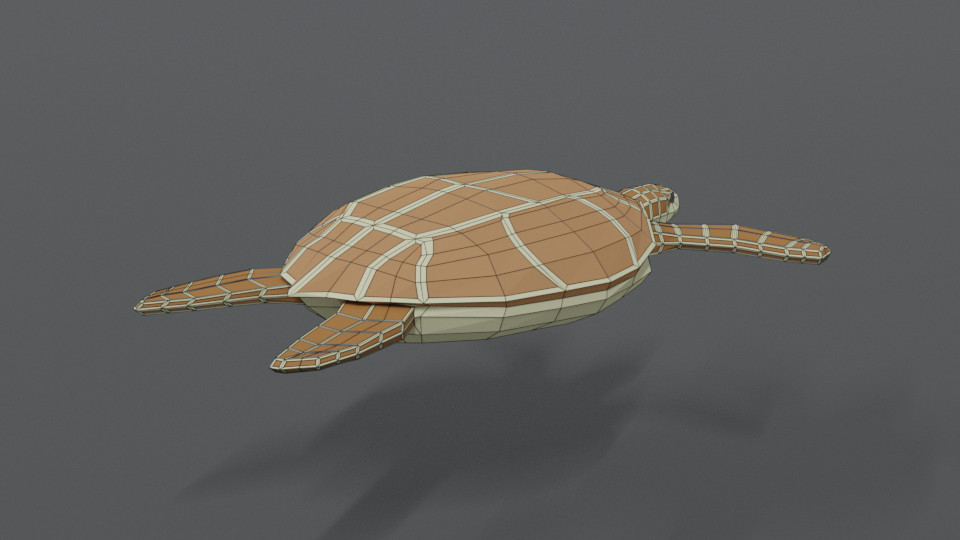 ArtStation - Low Poly Cartoon Loggerhead Sea Turtle | Game Assets