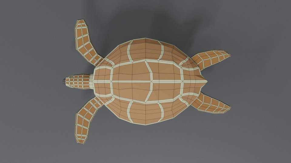 ArtStation - Low Poly Cartoon Loggerhead Sea Turtle | Game Assets