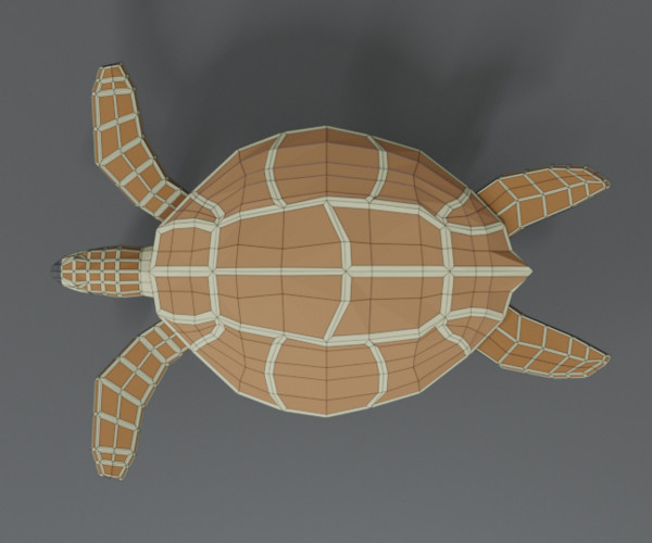 ArtStation - Low Poly Cartoon Loggerhead Sea Turtle | Game Assets