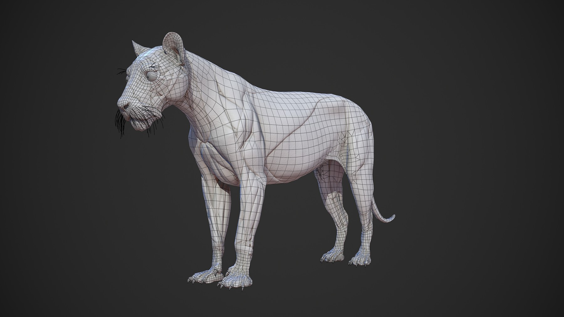 ArtStation - Animals - Lion Anatomy Skin Ecorche | Resources