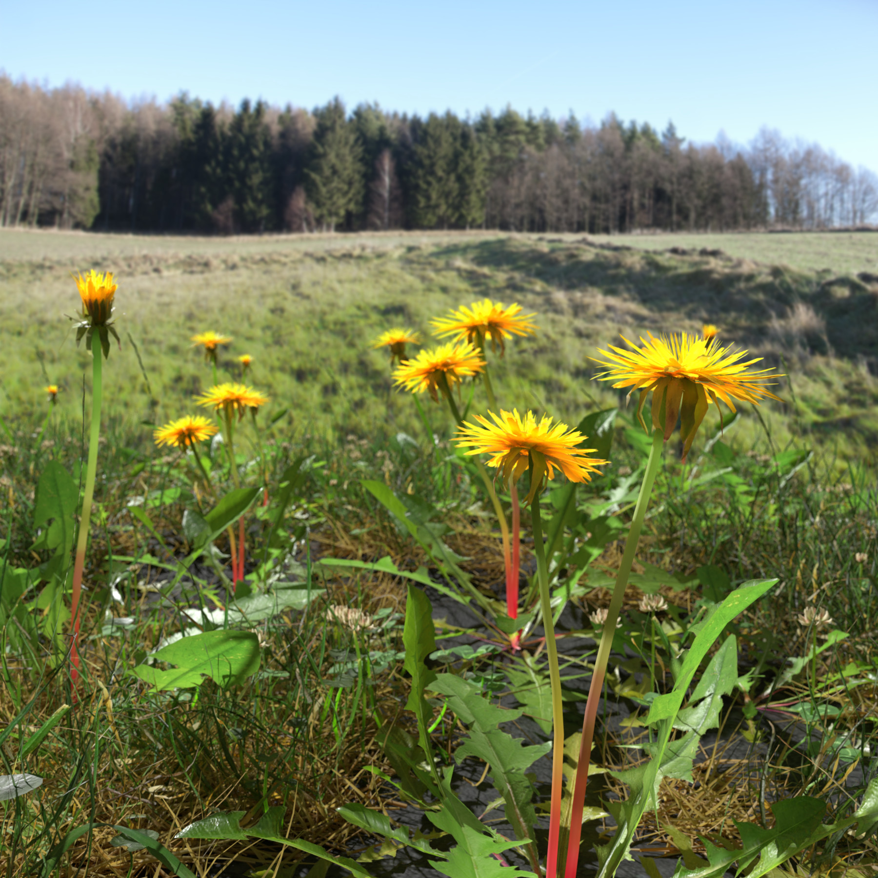 ArtStation - Dandelion Meadow Patch | Resources