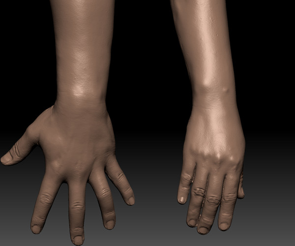 ArtStation - 3D Scan Hand Modeling_ 2set | Resources