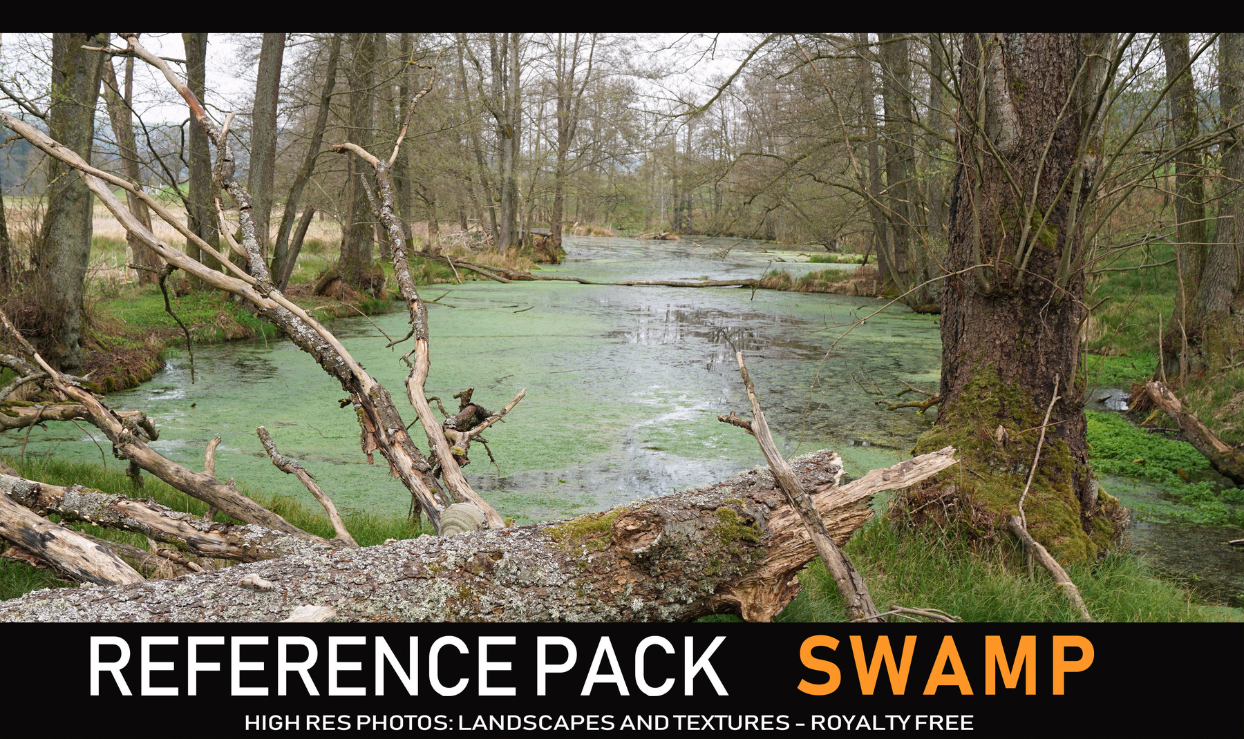 ArtStation - Swamp - 44 Reference pictures | Resources