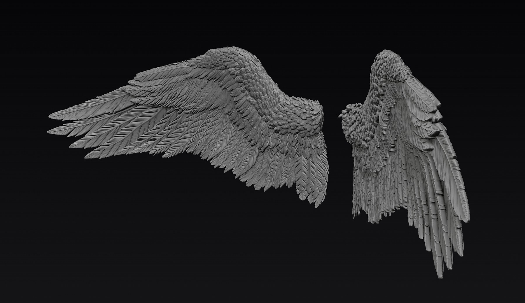 ArtStation - Wings Sculpt | Resources