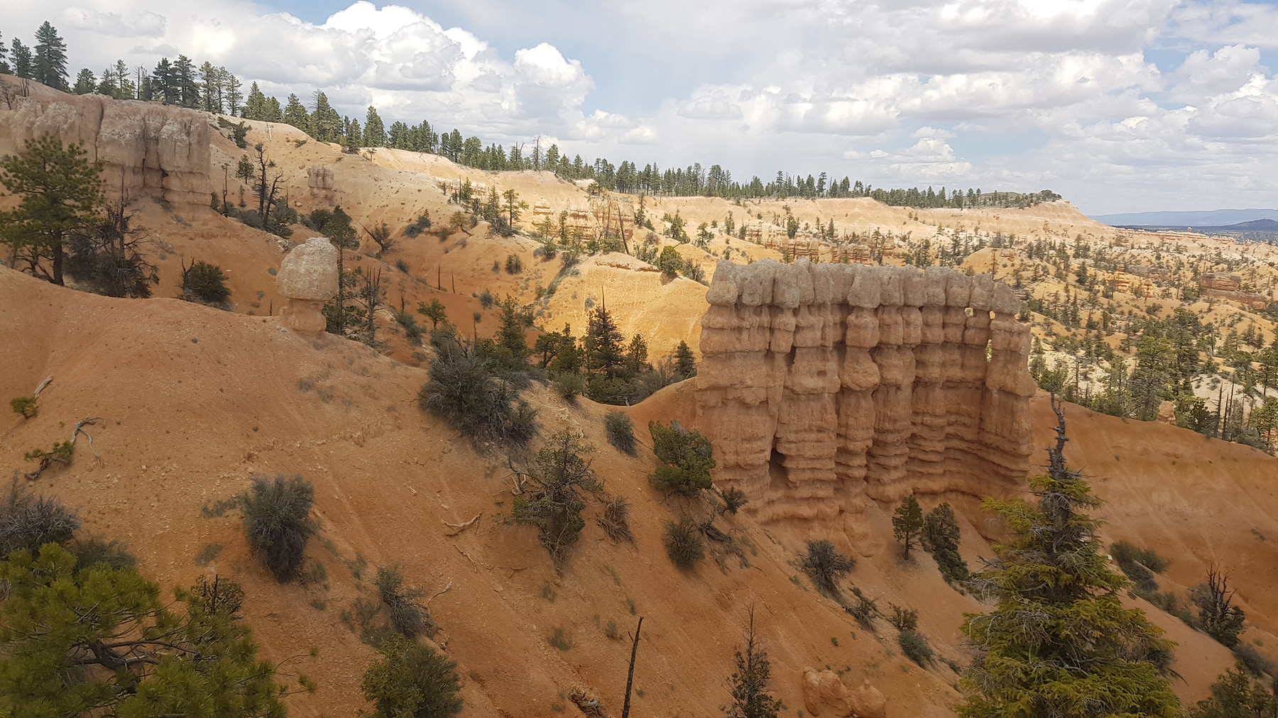 ArtStation - Reference: Bryce Canyon Pack 184 | Resources
