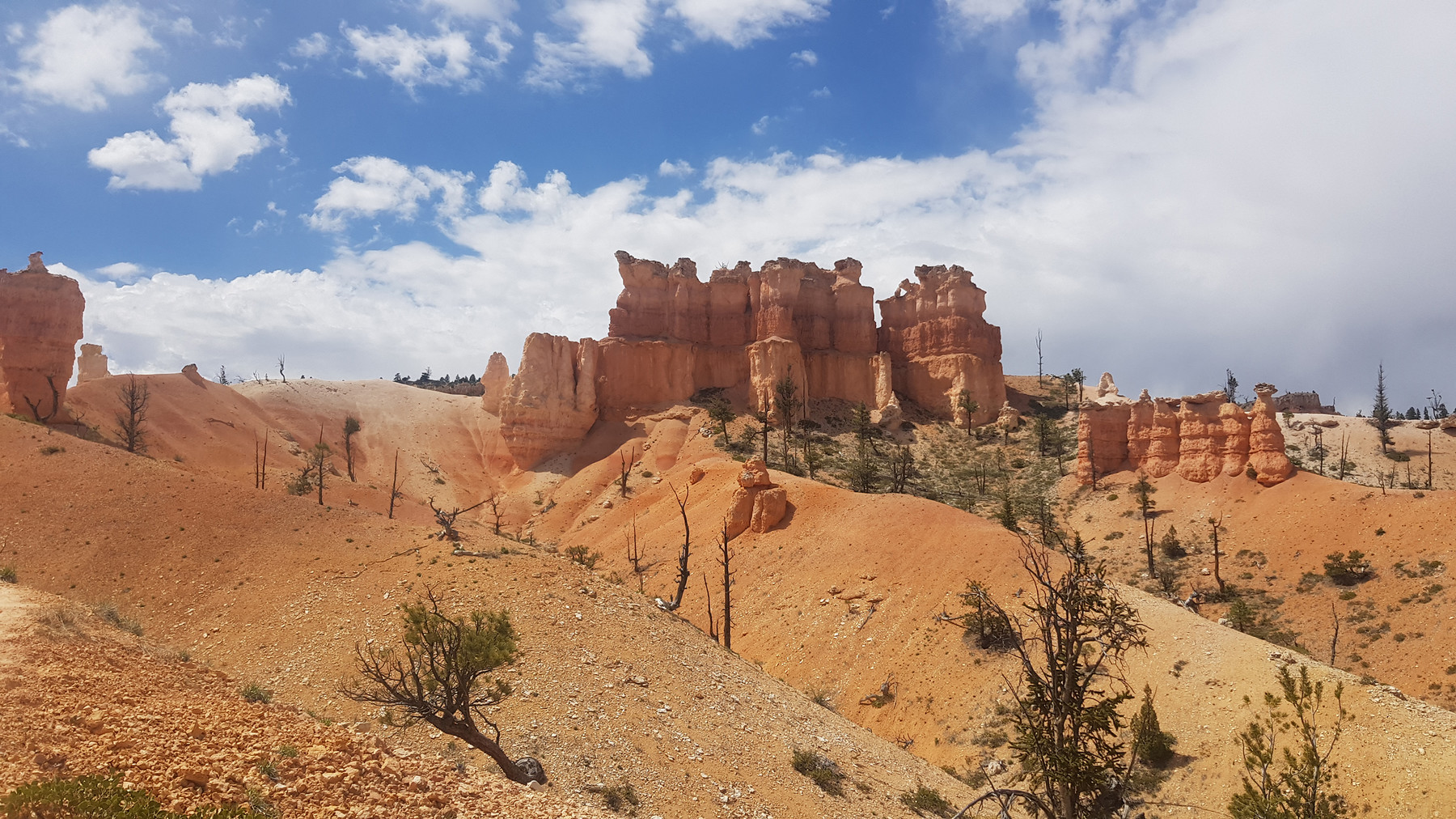 ArtStation - Reference: Bryce Canyon Pack 184 | Resources