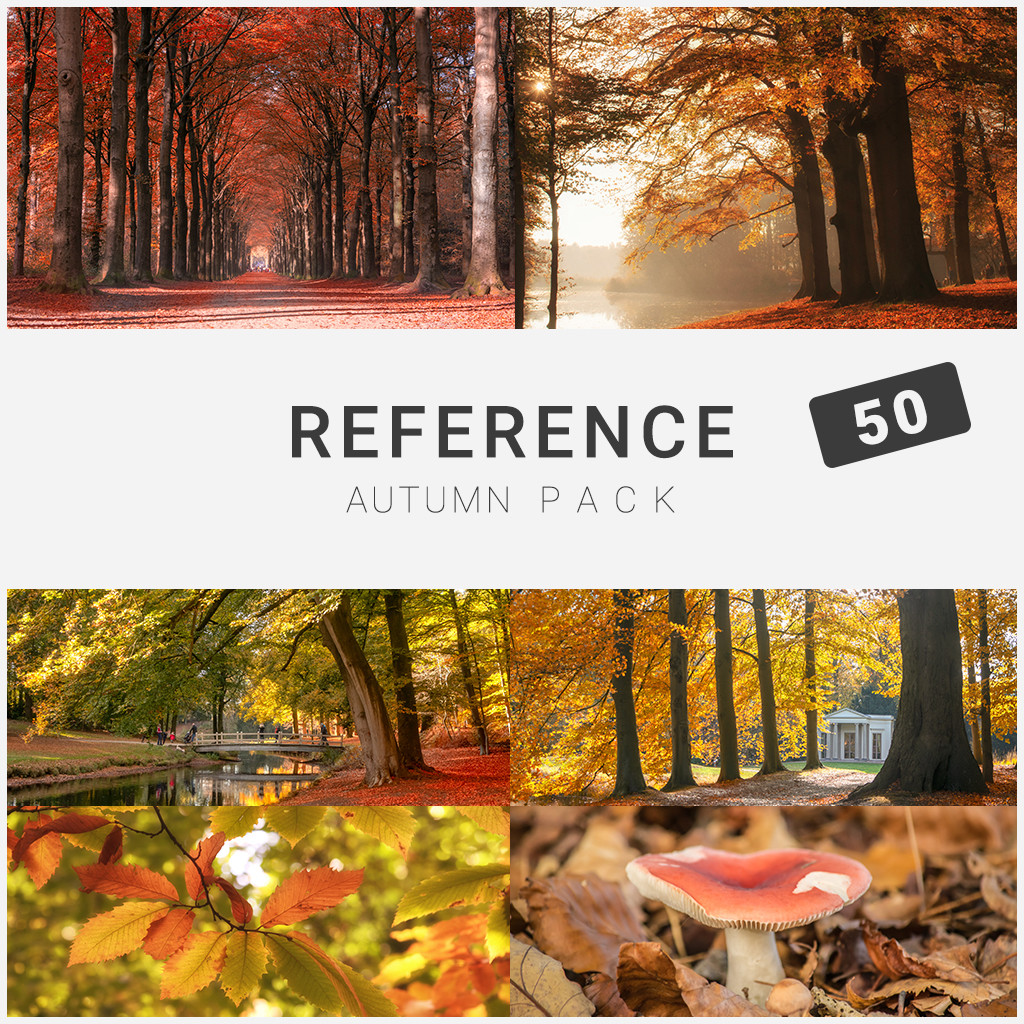 ArtStation - Reference: Autumn Pack 50 | Resources