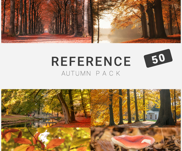 ArtStation - Reference: Autumn Pack 50 | Resources