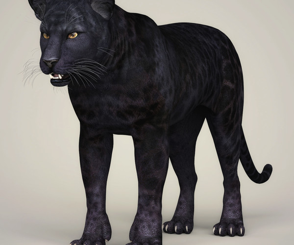 ArtStation - Photorealistic Wild Panther | Resources