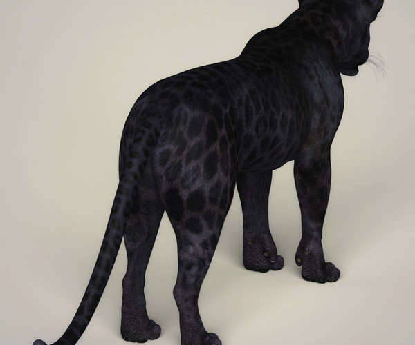 ArtStation - Photorealistic Wild Panther | Resources