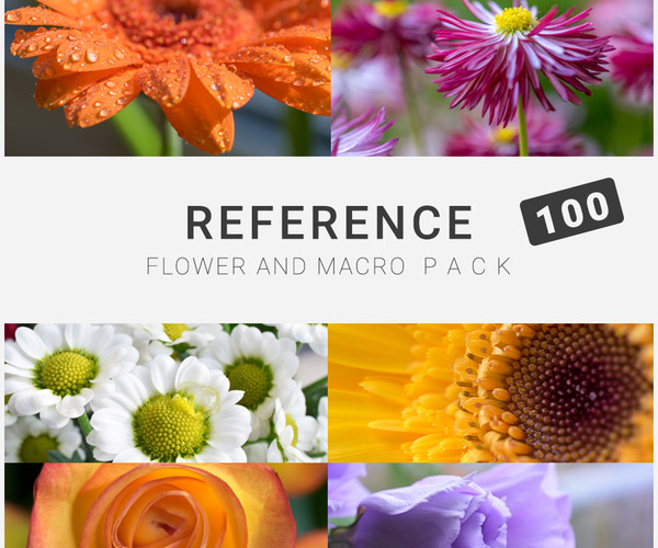 ArtStation - Reference: Flower and Macro Pack 100 | Resources