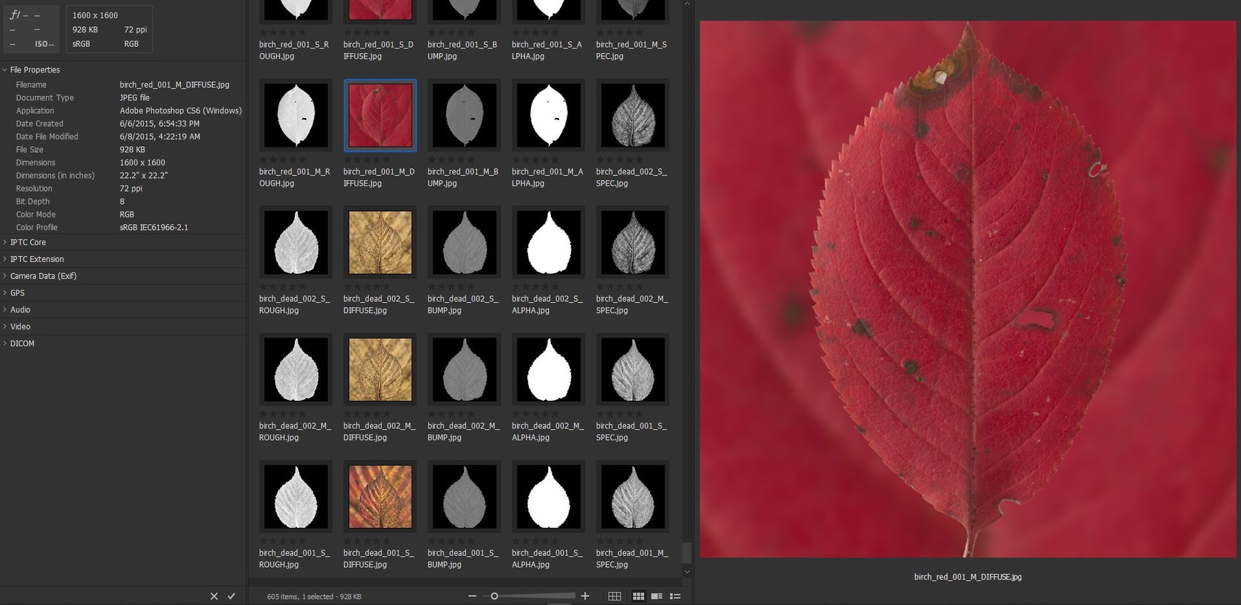 ArtStation - High Resolution Leaf Textures Seasonal Variety Pack ...