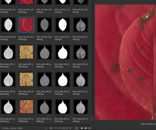 ArtStation - High Resolution Leaf Textures Seasonal Variety Pack ...