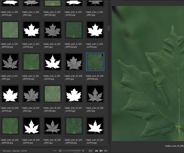 ArtStation - High Resolution Leaf Textures Seasonal Variety Pack ...