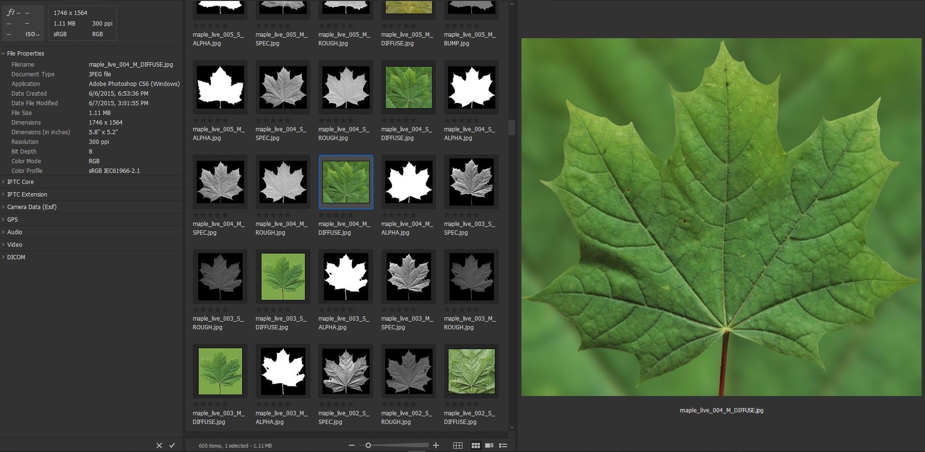 ArtStation - High Resolution Leaf Textures Seasonal Variety Pack ...