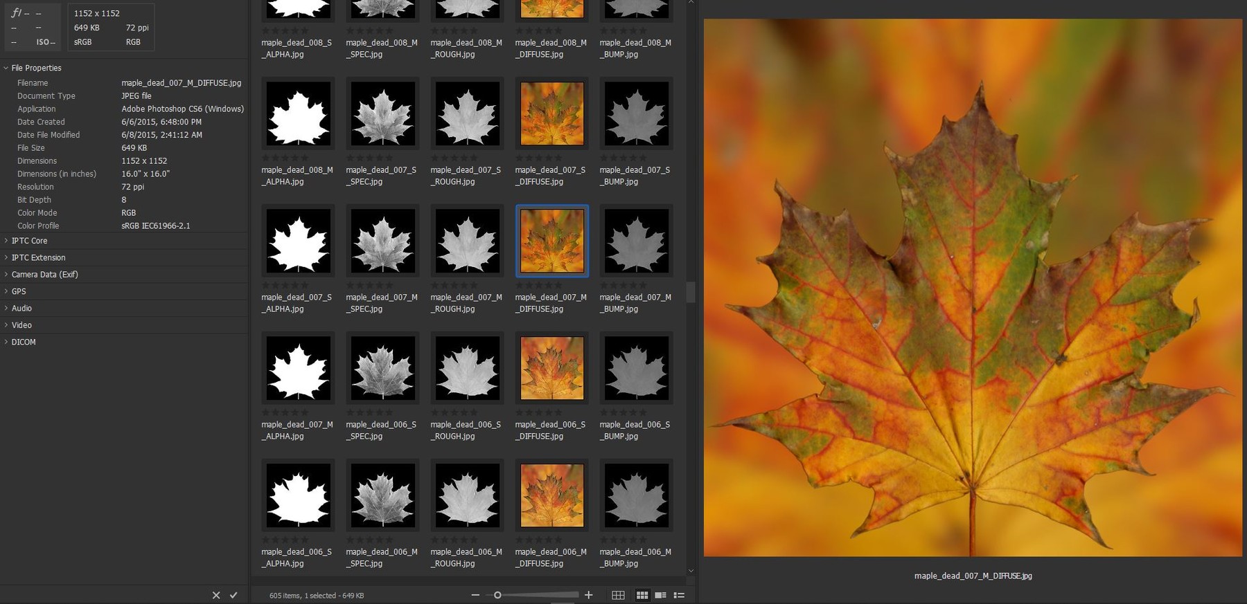 ArtStation - High Resolution Leaf Textures Seasonal Variety Pack ...