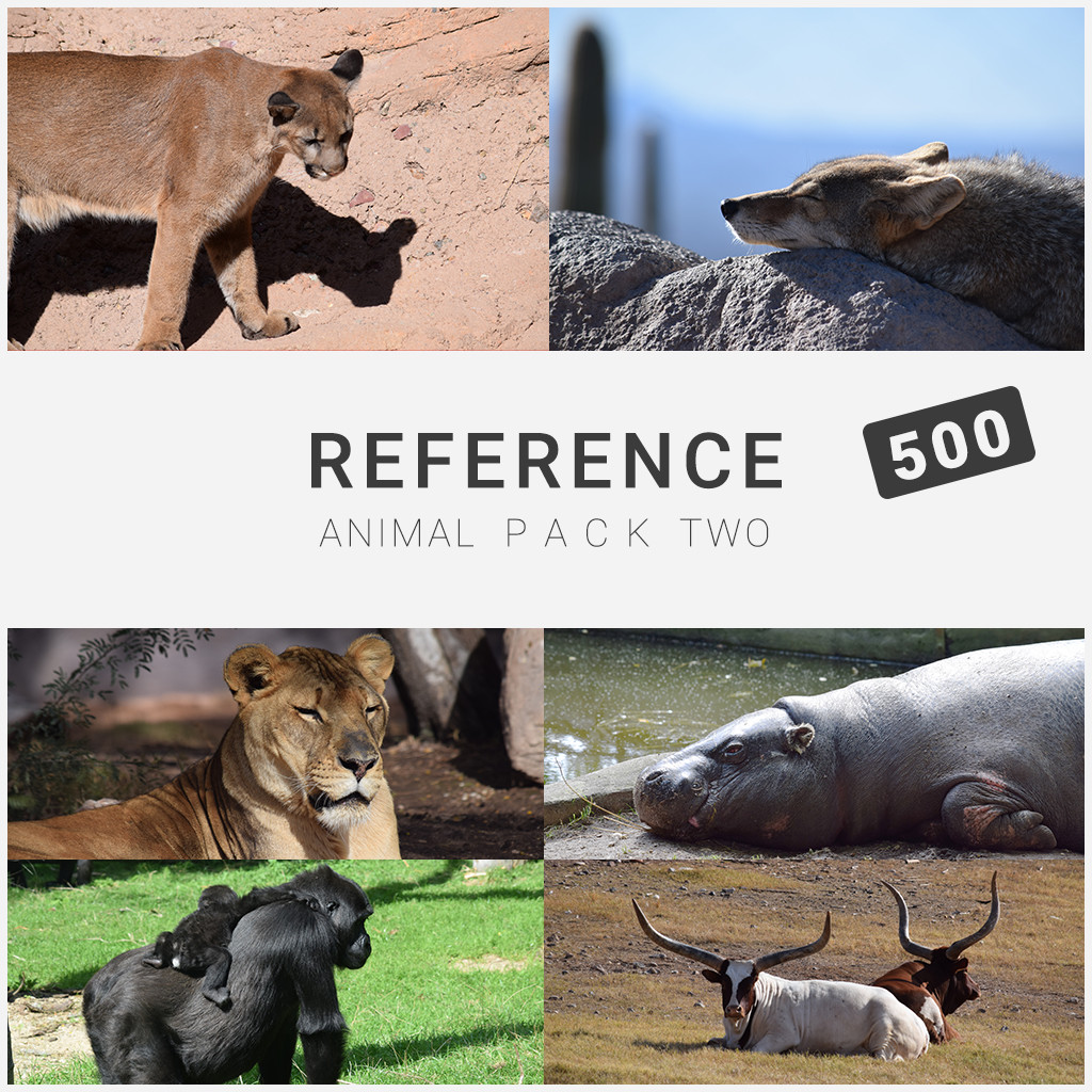 ArtStation - Reference: Animal Pack Two 500 | Resources