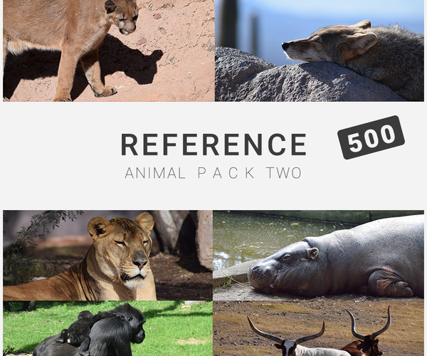 ArtStation - Reference: Animal Pack Two 500 | Resources