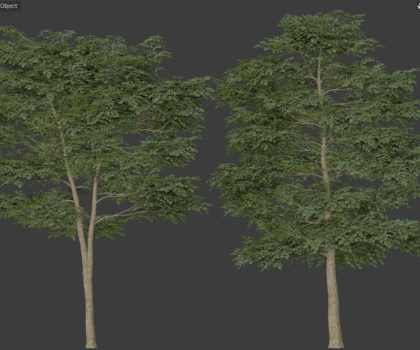 ArtStation - London Plane Trees 3D model | Resources