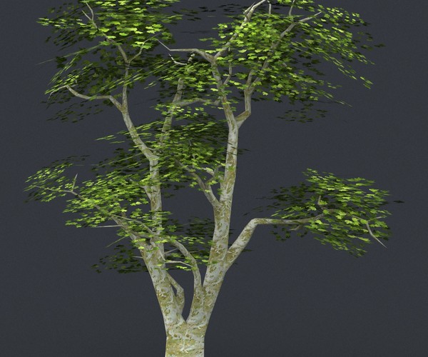 ArtStation - Low Poly 10 Tree Collection | Resources