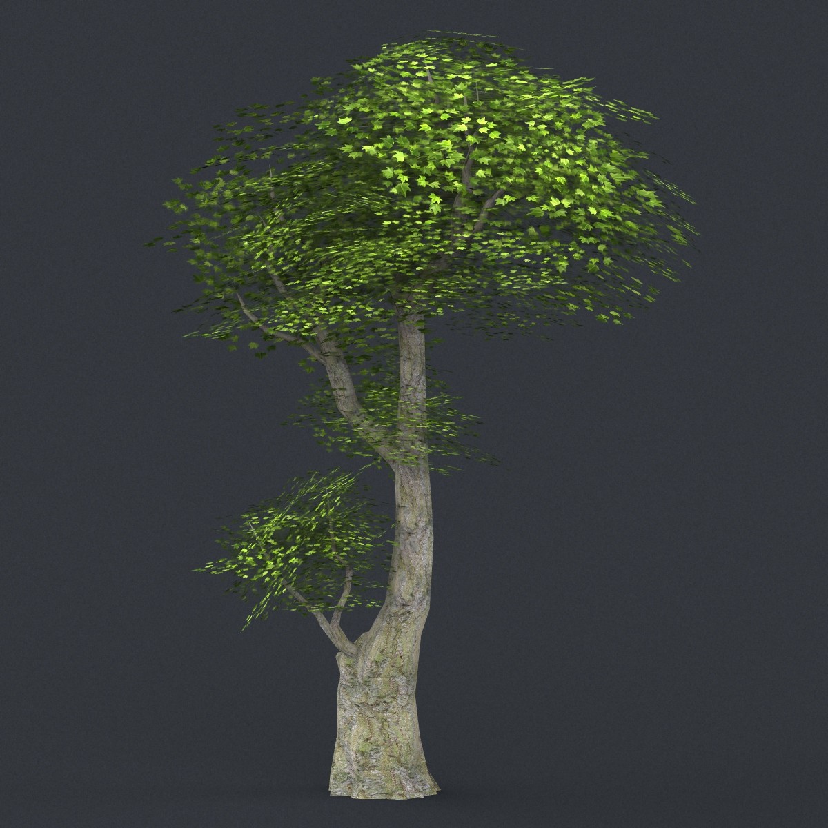 ArtStation - Low Poly 10 Tree Collection | Resources