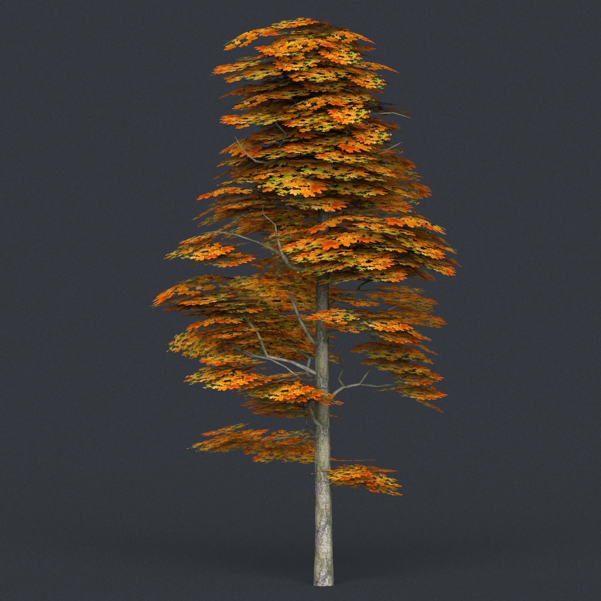 ArtStation - Low Poly 10 Tree Collection Release 2 | Resources