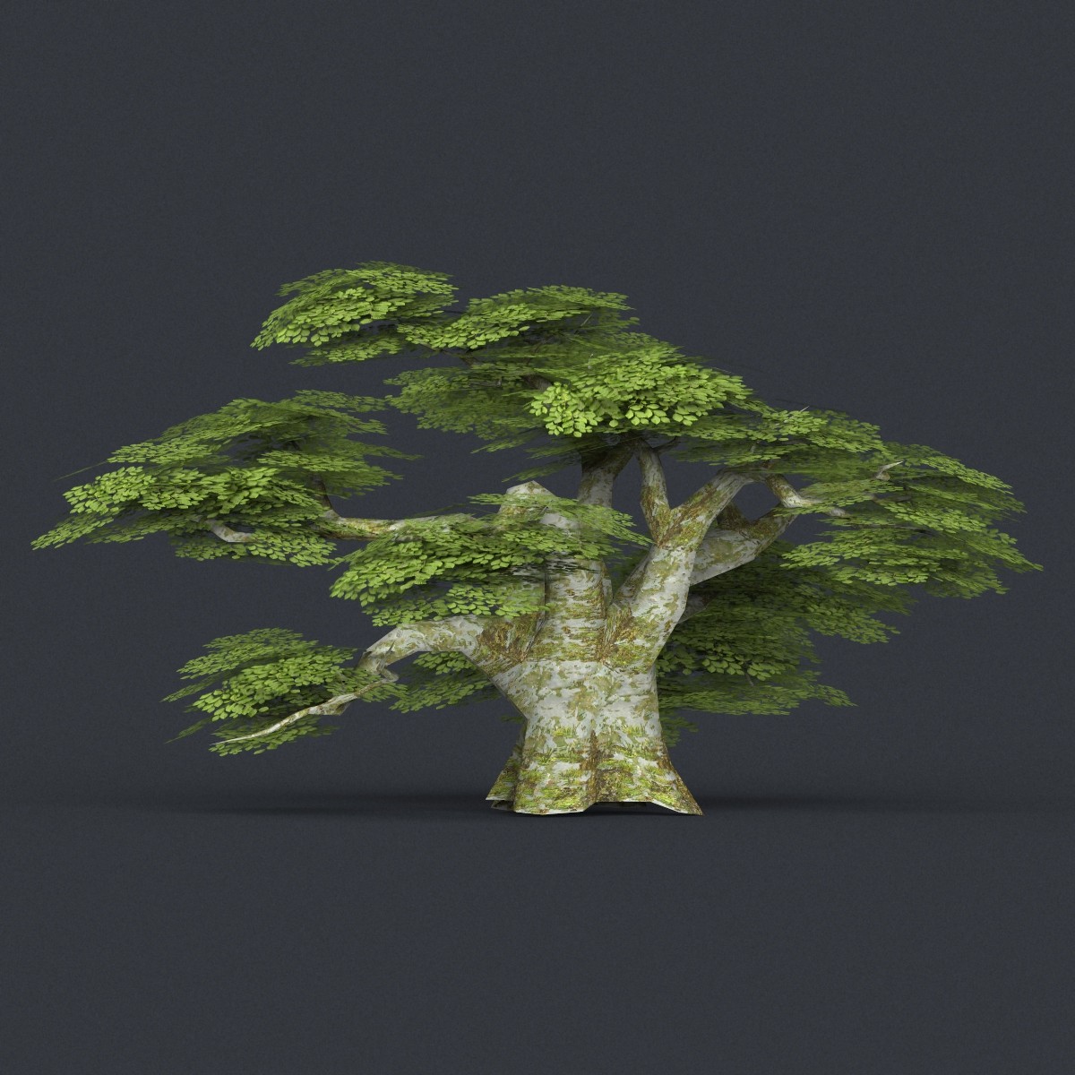 ArtStation - Low Poly 10 Tree Collection Release 2 | Resources