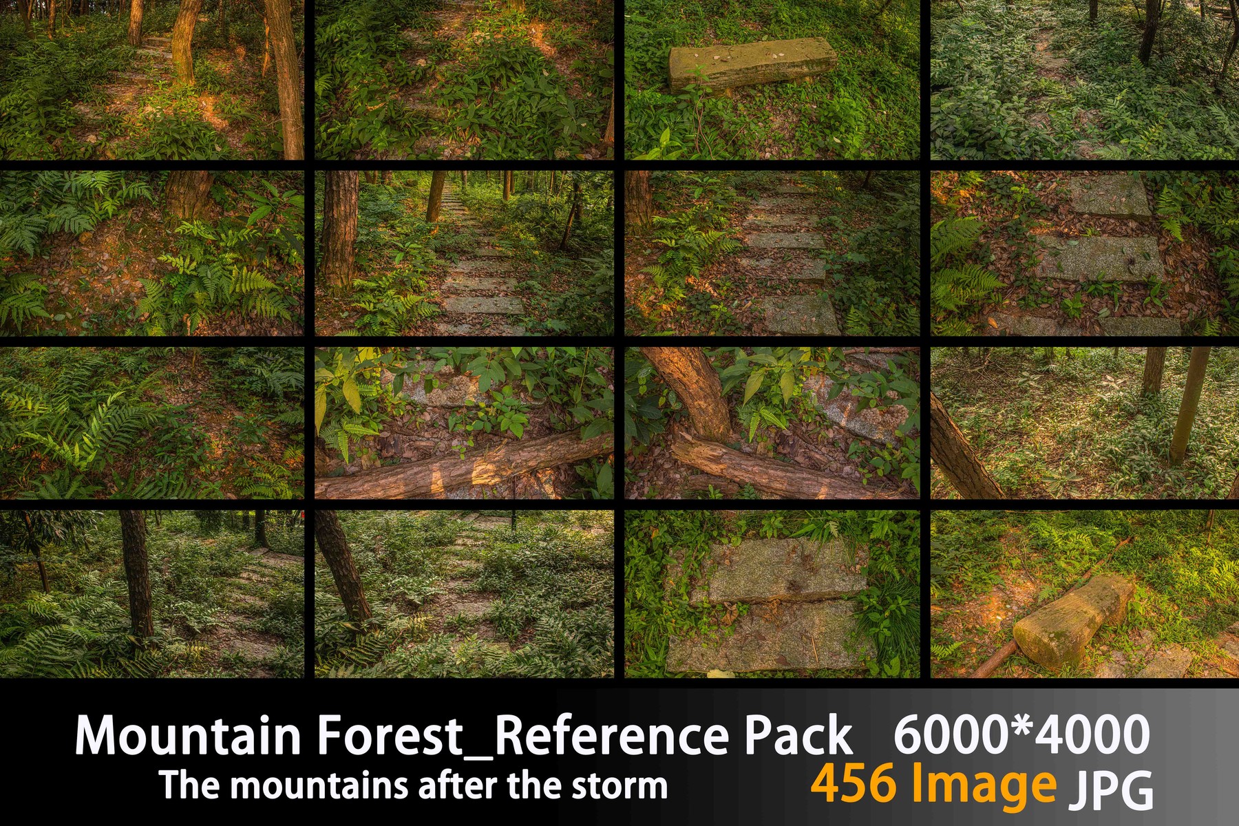ArtStation - Mountain Forest_Reference Pack | Resources