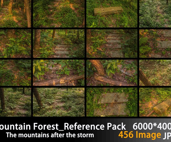 ArtStation - Mountain Forest_Reference Pack | Resources