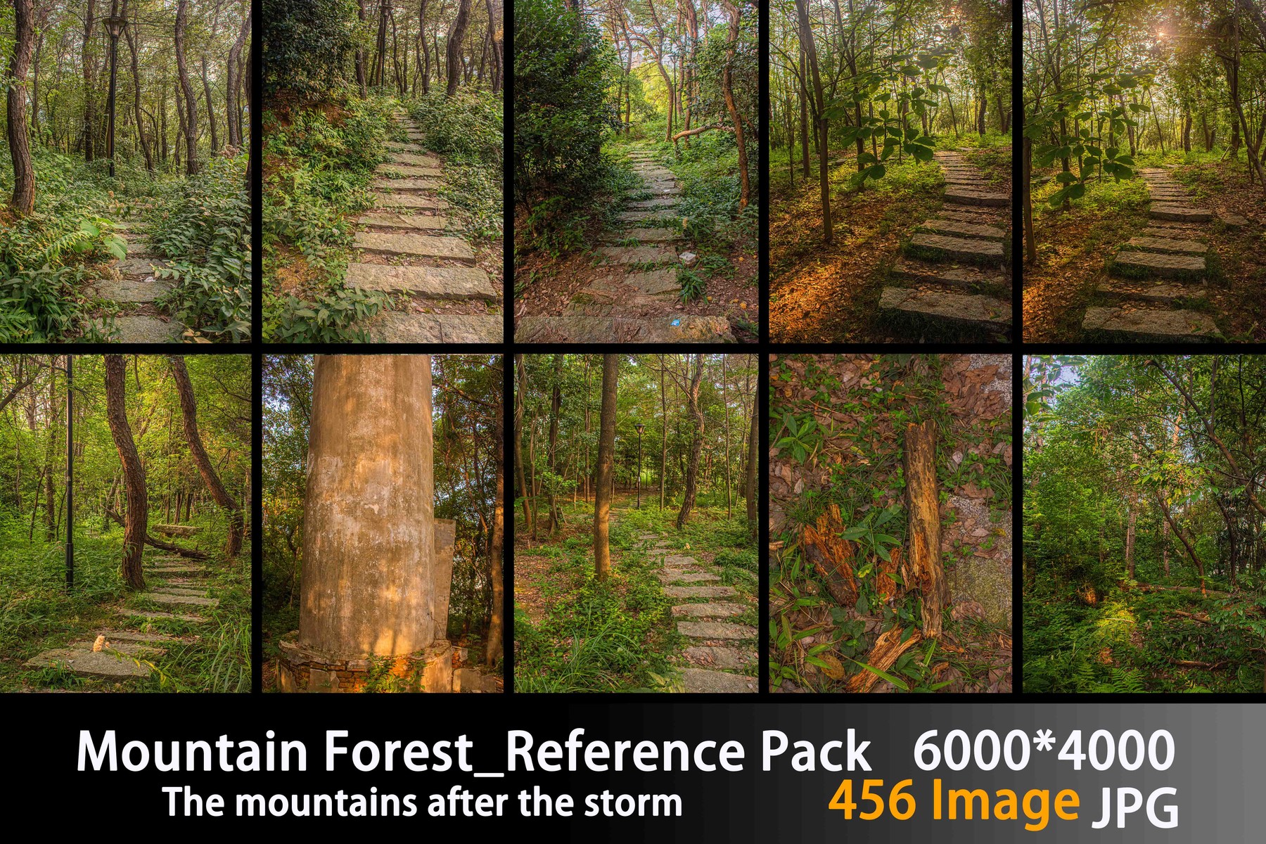 ArtStation - Mountain Forest_Reference Pack | Resources