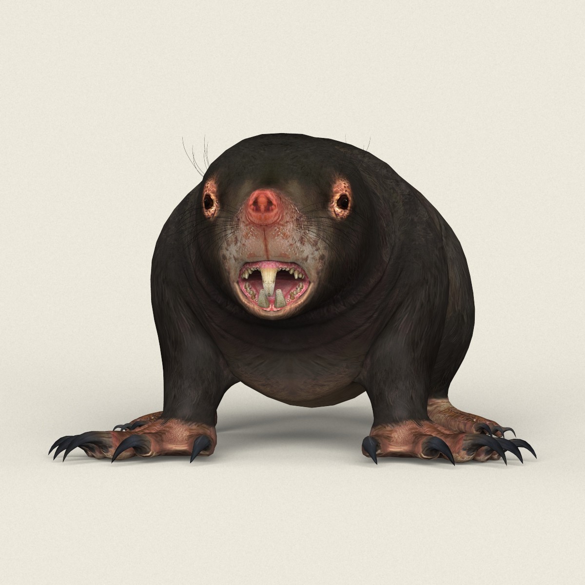 ArtStation - Mole | Resources