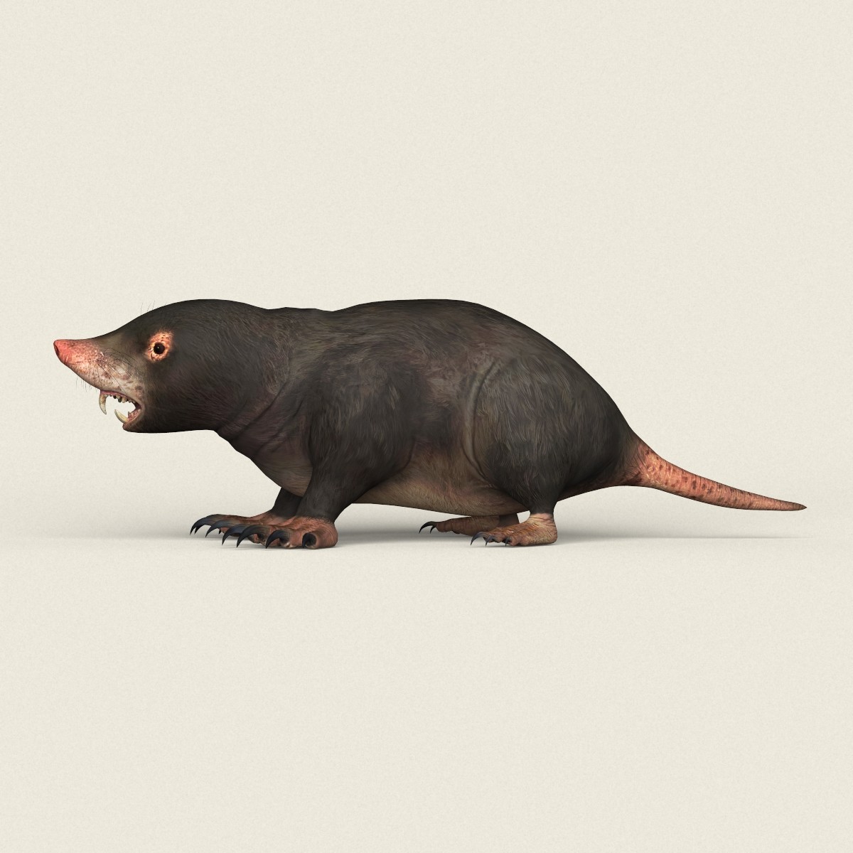 ArtStation - Mole | Resources