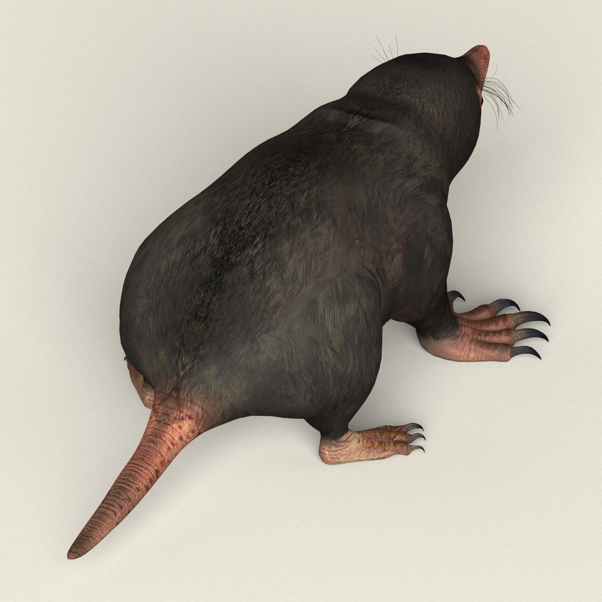 ArtStation - Mole | Resources