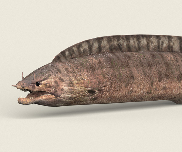 ArtStation - Moray Fish | Resources