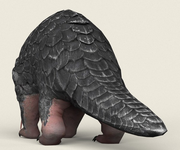 ArtStation - Pangolin | Resources