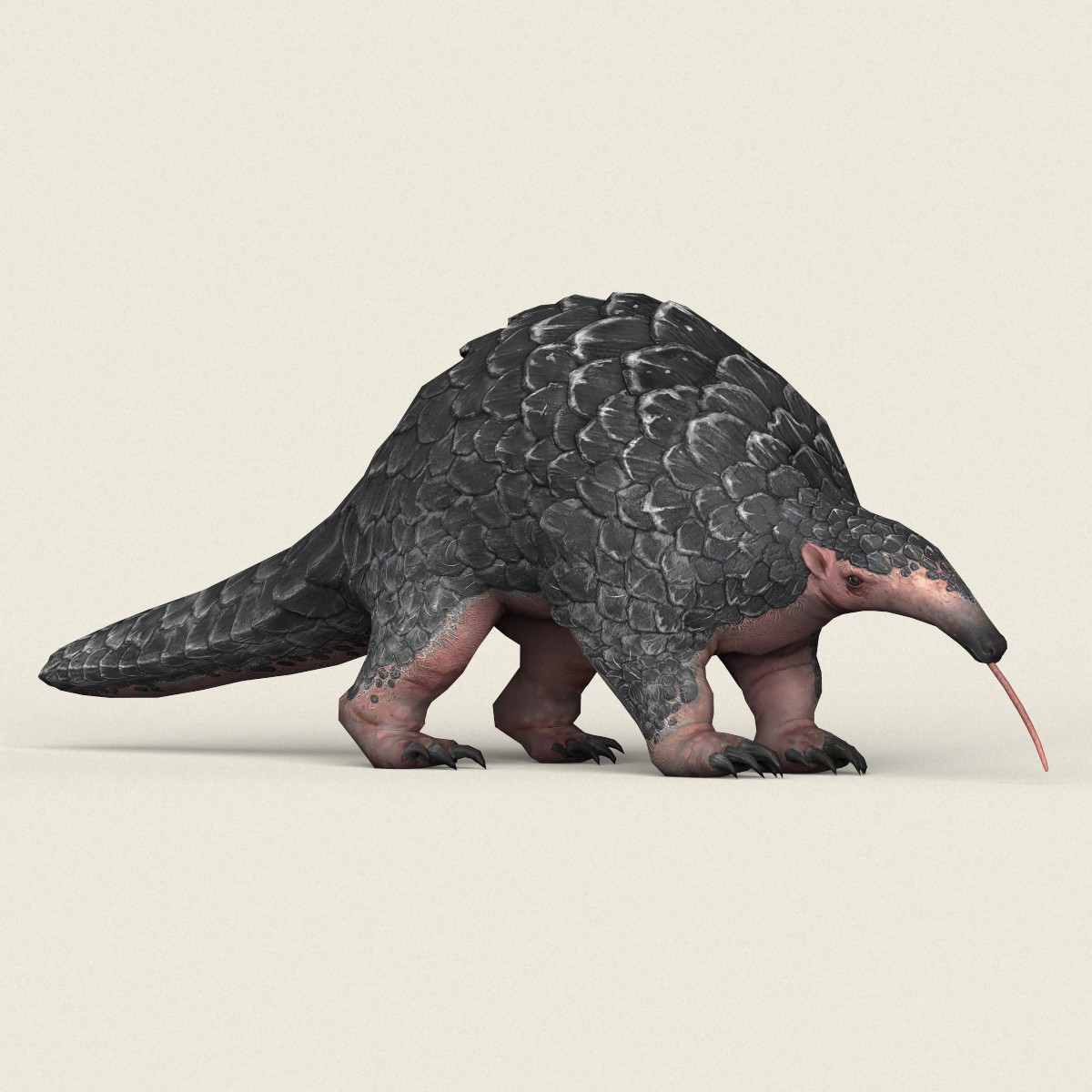 ArtStation - Pangolin | Resources